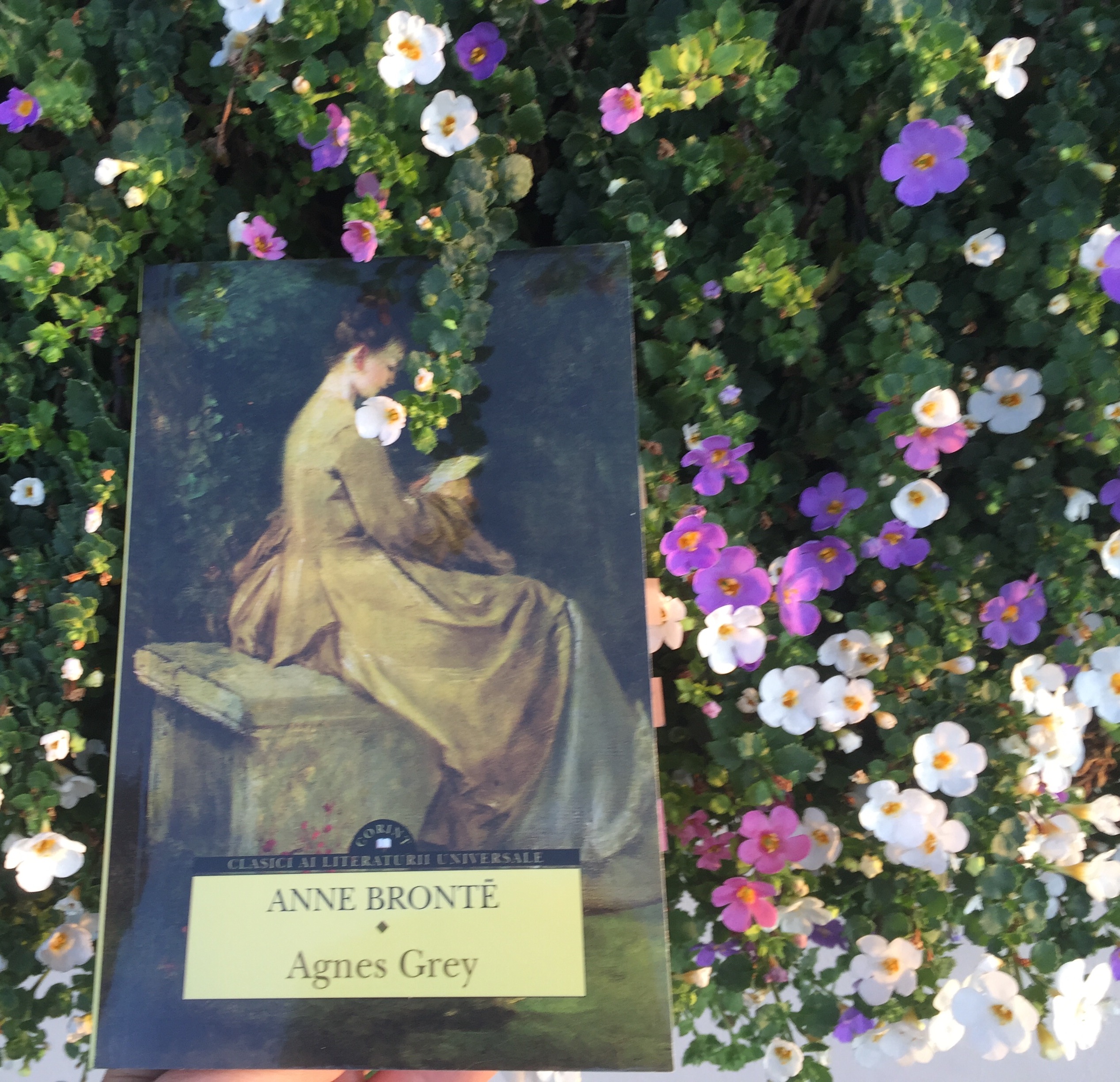 Agnes Grey – Cărţi, feeling-uri şi sentimente